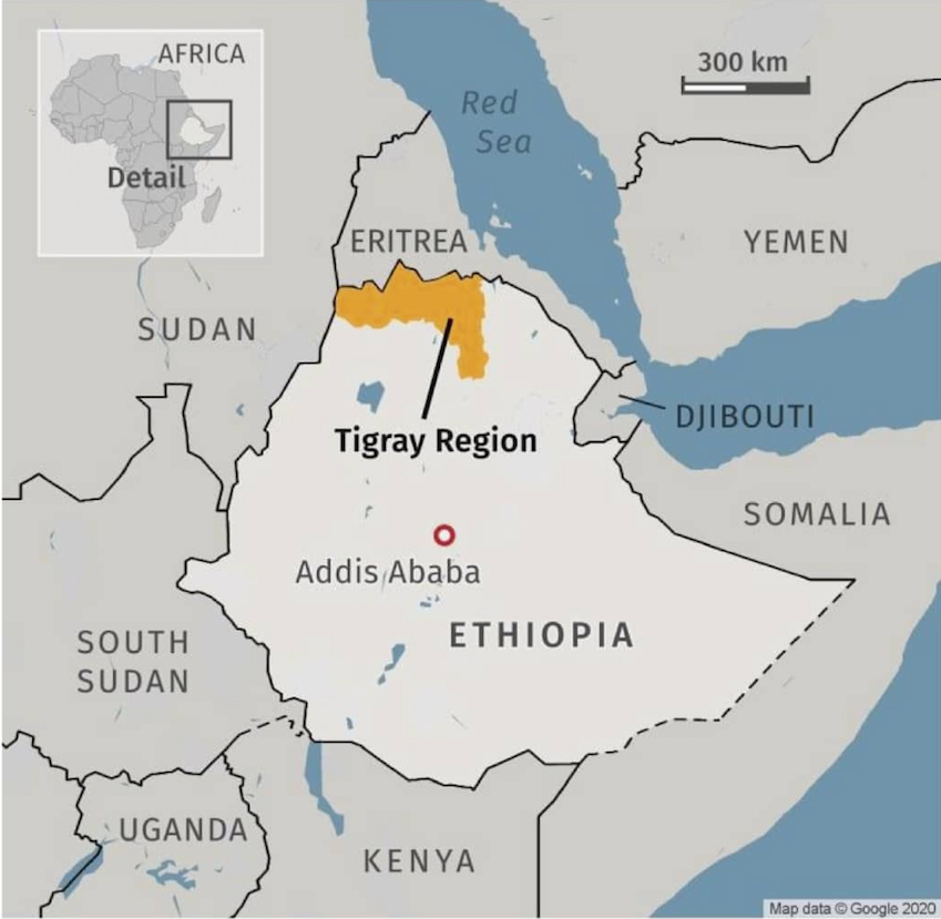 Health Workers, Tigray - People's Health Movement